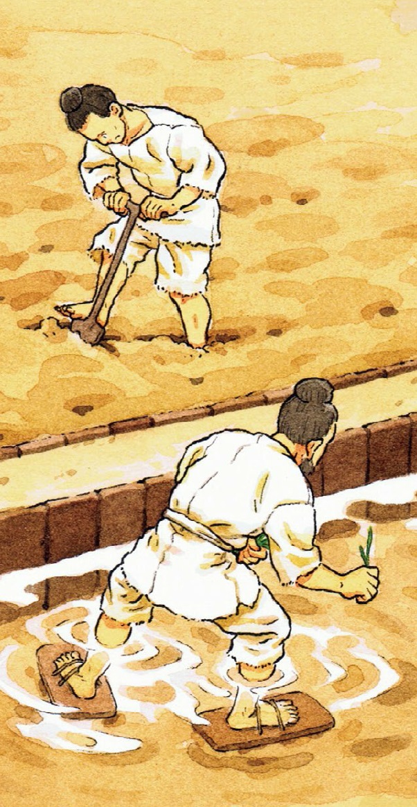 葛飾区史｜第2章 葛飾の歴史